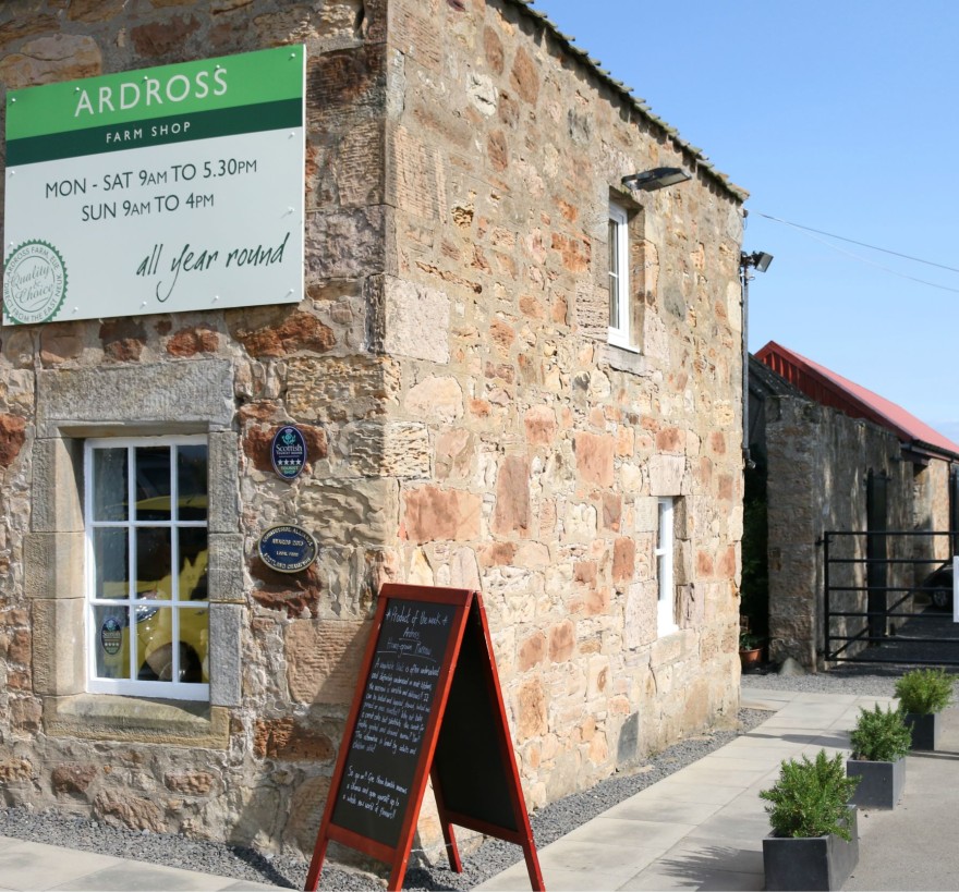 A Weegie In The East Neuk of Fife
